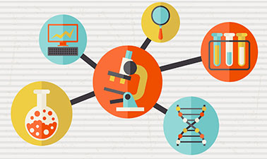 Materials And Methods Images